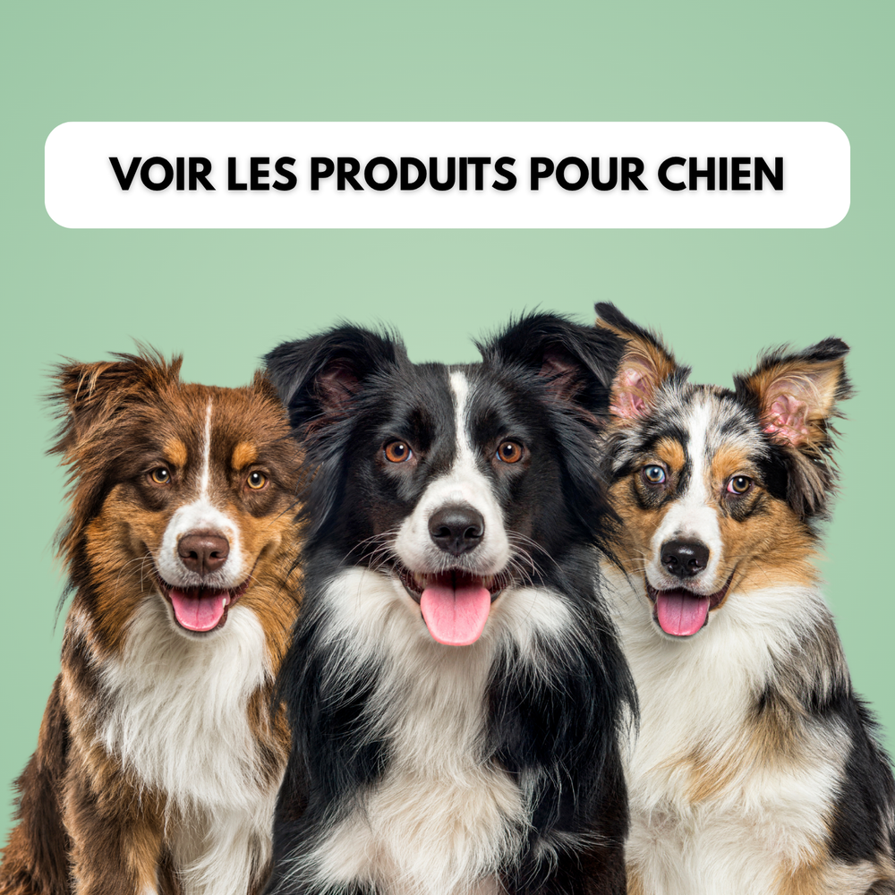 Collections – Ovanor