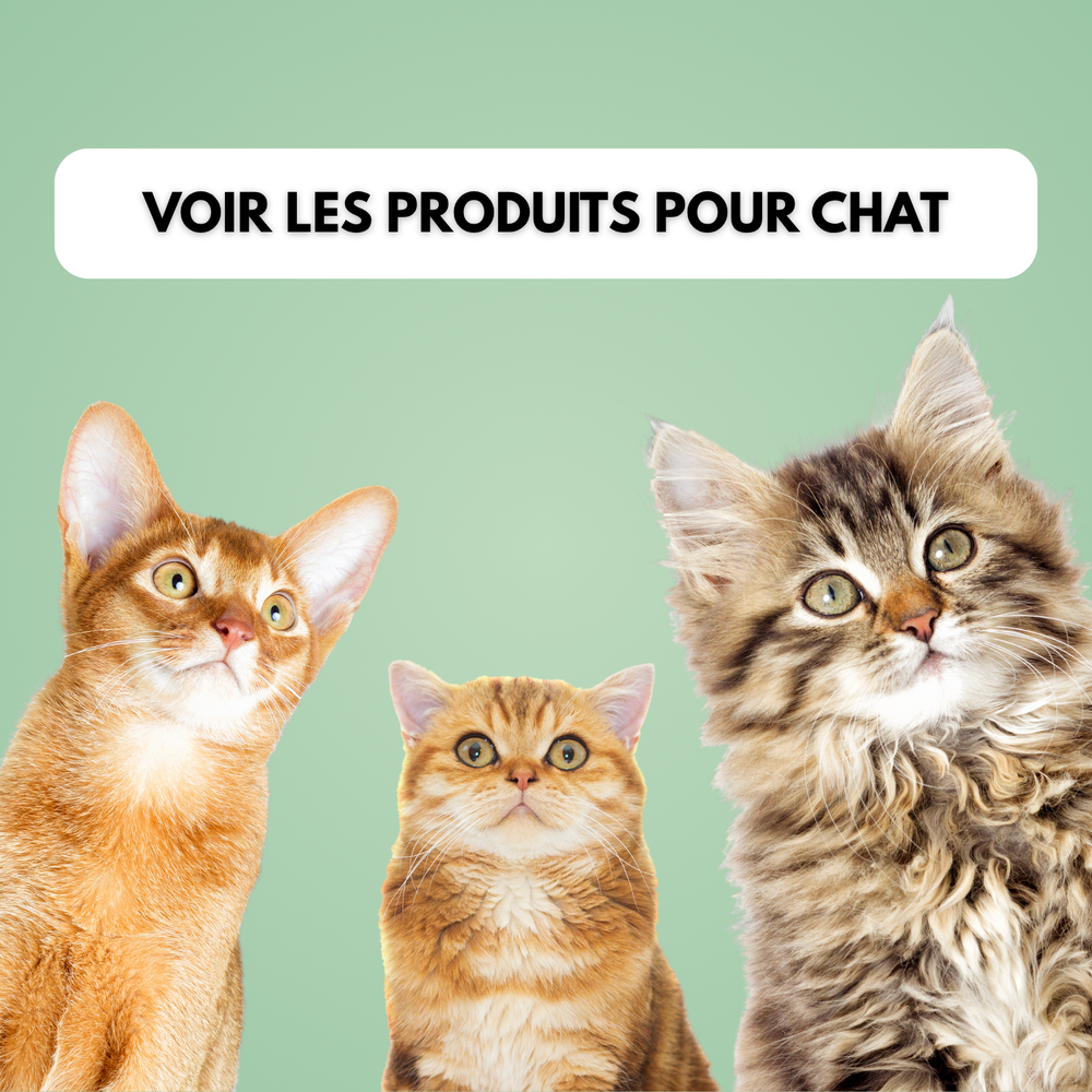 Collections – Ovanor