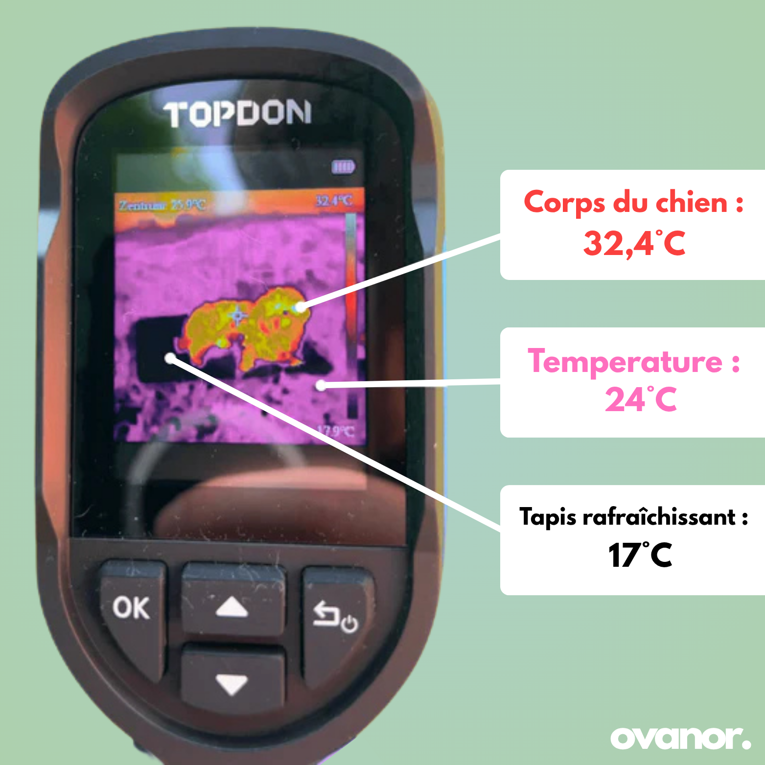 Tapis rafraîchissant pour chien – Ovanor