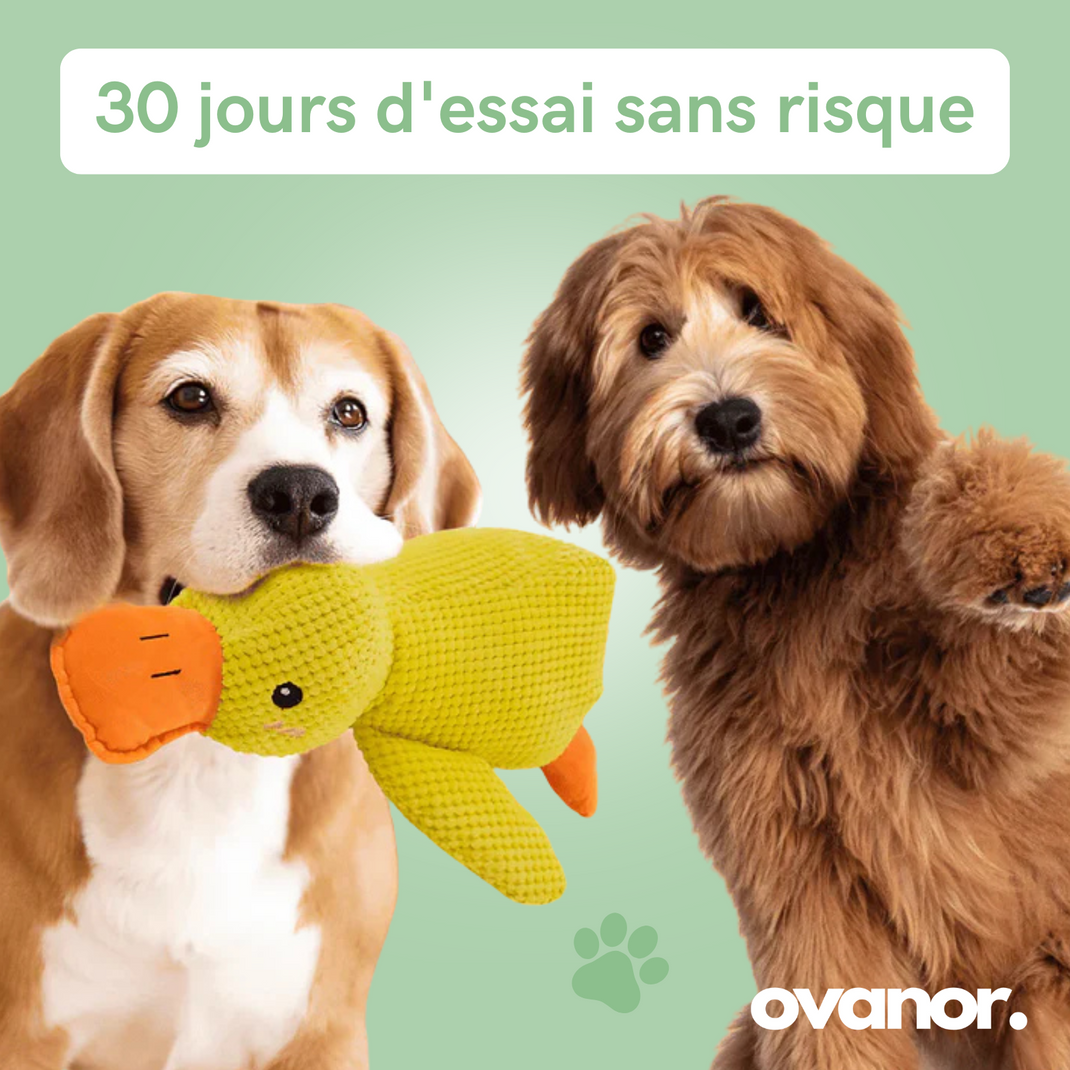 Canard Anti-Stress - Le Best-seller – Ovanor