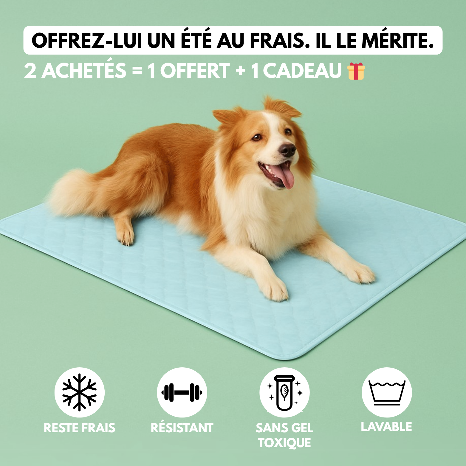 Nos produits – Ovanor